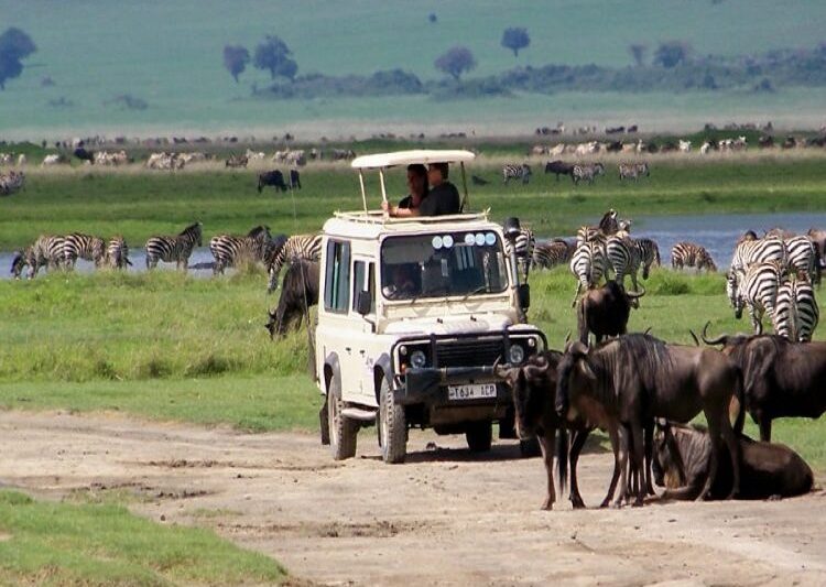The best 8 days Serengeti migration safari