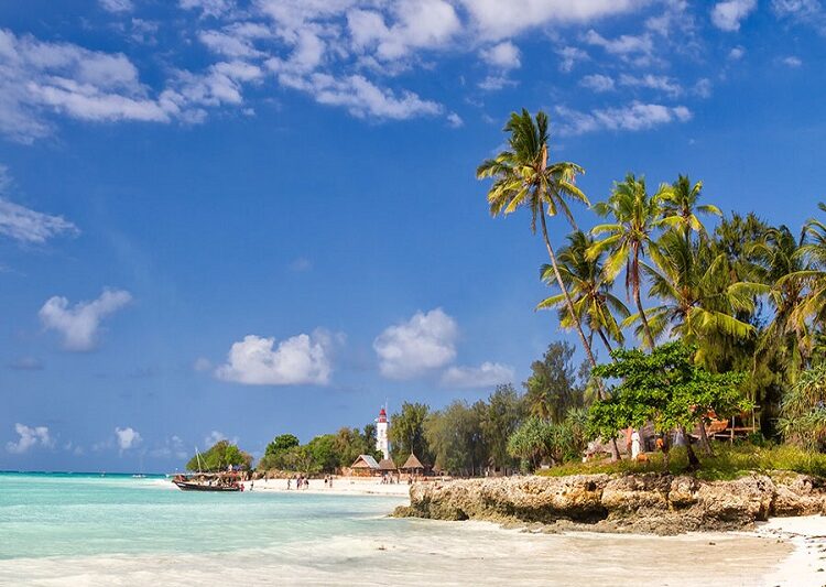 Home - Best Tanzania Safari tour company in Africa