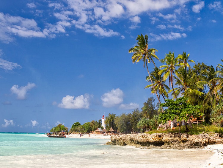 Home - Best Tanzania Safari tour company in Africa